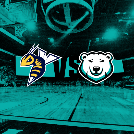 Winnipeg Sea Bears vs Edmonton Stingers : Canada Life Centre