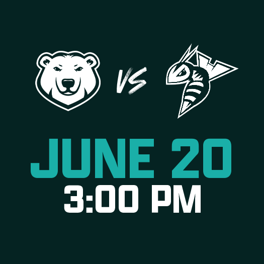 Sea Bears vs Edmonton Stingers - Canada Life Centre : Canada Life Centre